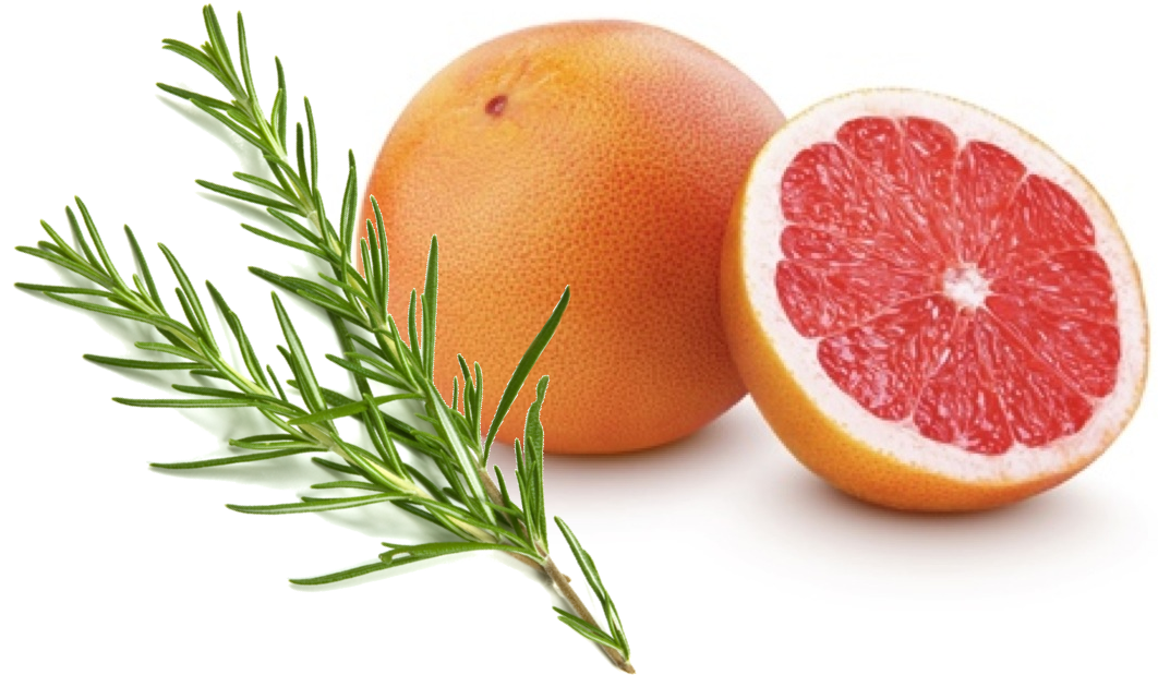 Rhum pamplemousse & romarin | Flibustier